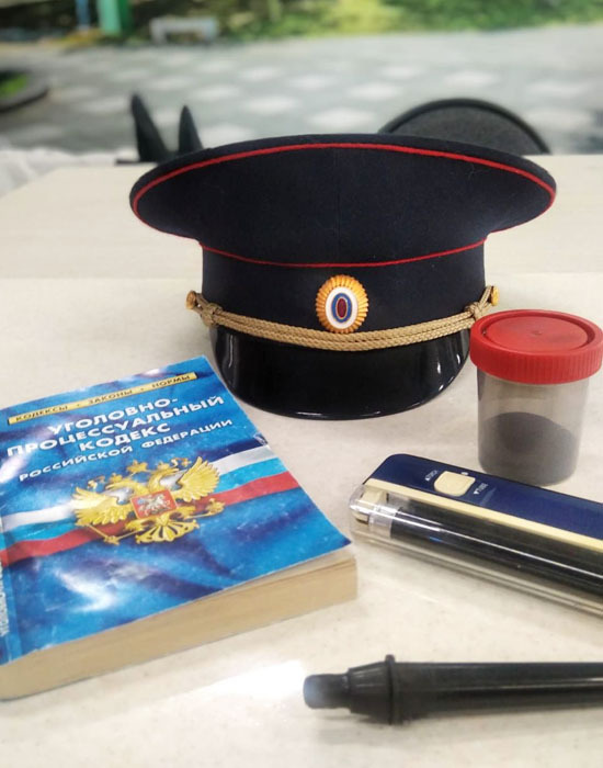 Бакалавриат, Уголовно-правовой профиль